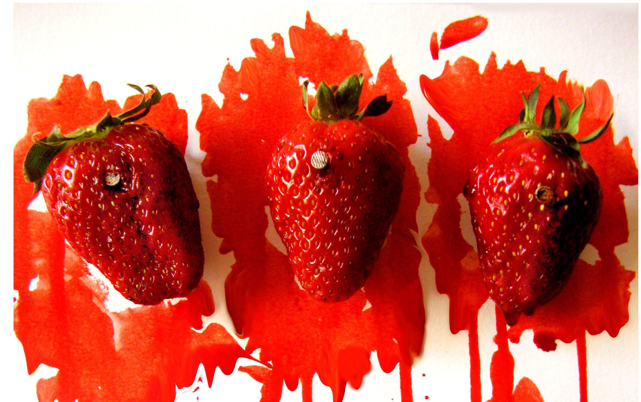 strawbe - Commonality